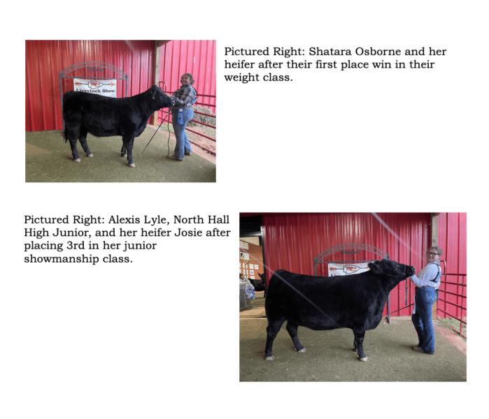 FFA Alumni Steer & Heifer Show Placings - Hall County Schools