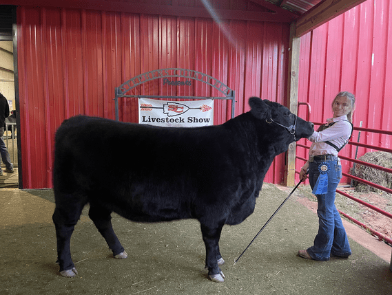FFA Alumni Steer & Heifer Show Placings - Hall County Schools